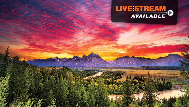 MER – PRIMARY CARE CONFERENCES